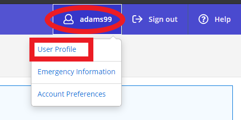 Update Your Preferred First Name and Pronouns – Franklin University ...